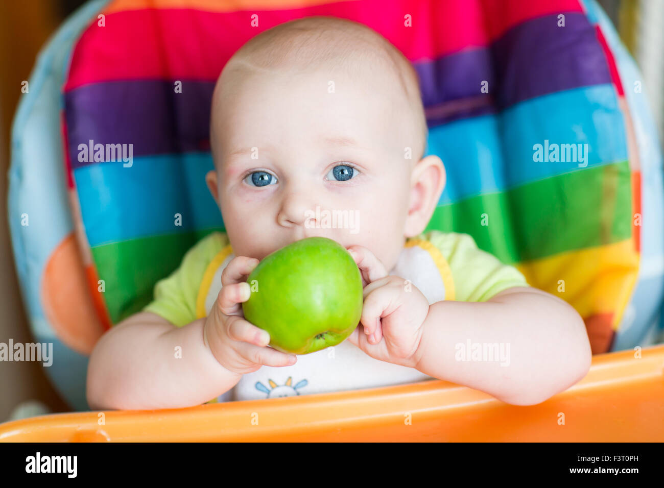 Adorable baby eating apple in high chair. Baby's first solid food Stock ...
