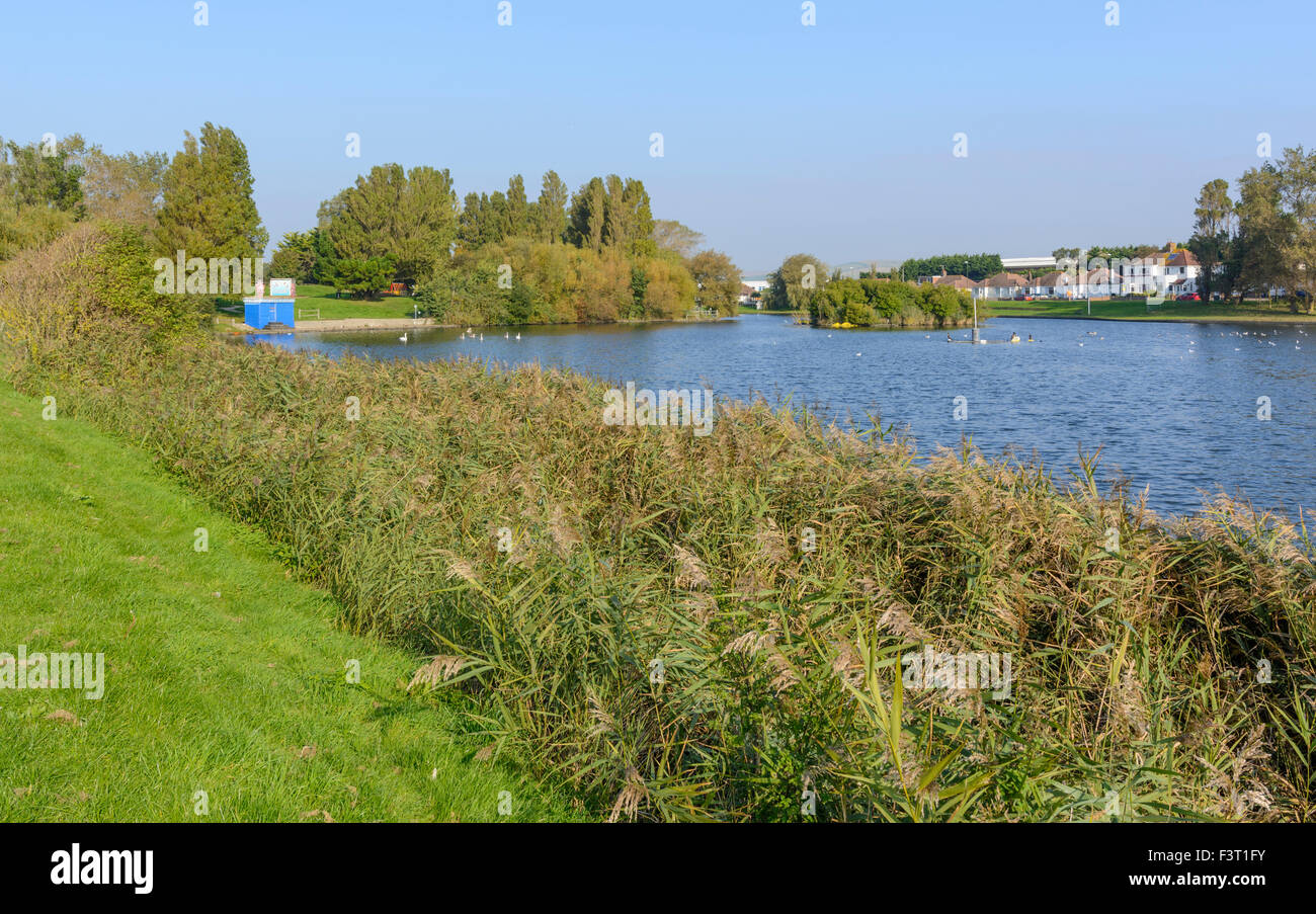 Brooklands park lake hi-res stock photography and images - Alamy