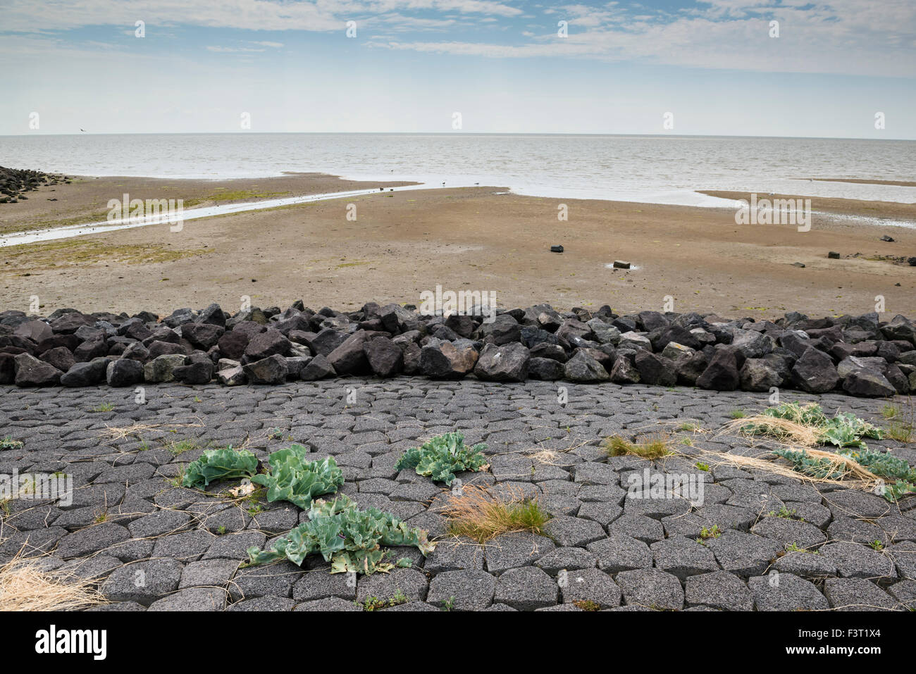 Waddeneilanden hi-res stock photography and images - Alamy
