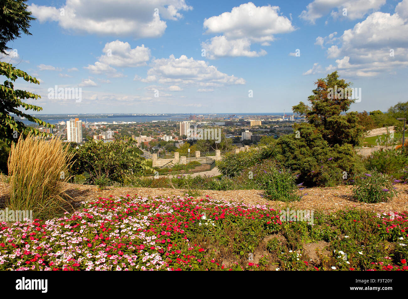 A beautiful landscape with a big city on the lake Ontario with blue sky ...