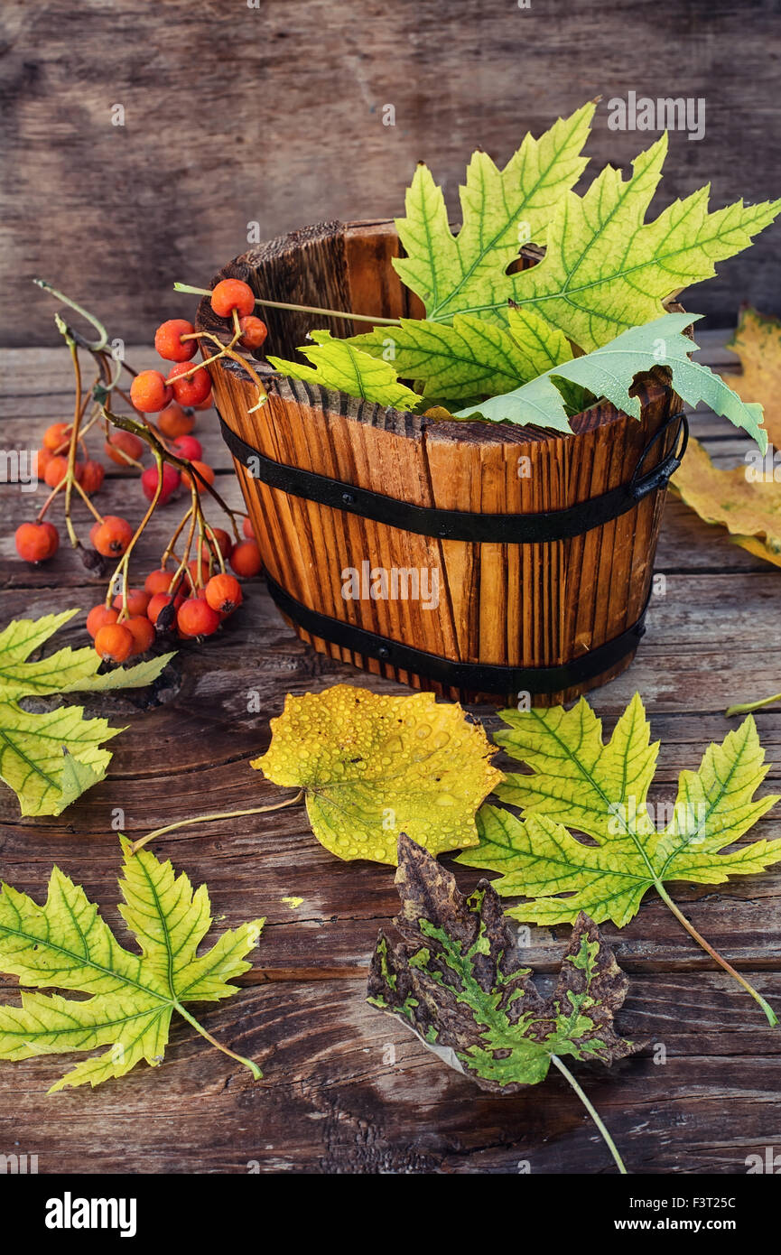 Wooden bucket with fallen autumn leaves on wooden background Stock ...