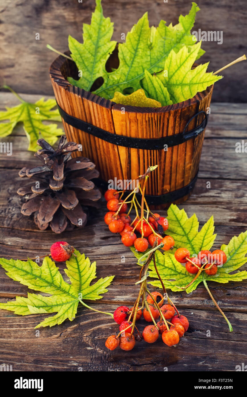Wooden bucket with fallen autumn leaves on wooden background Stock ...