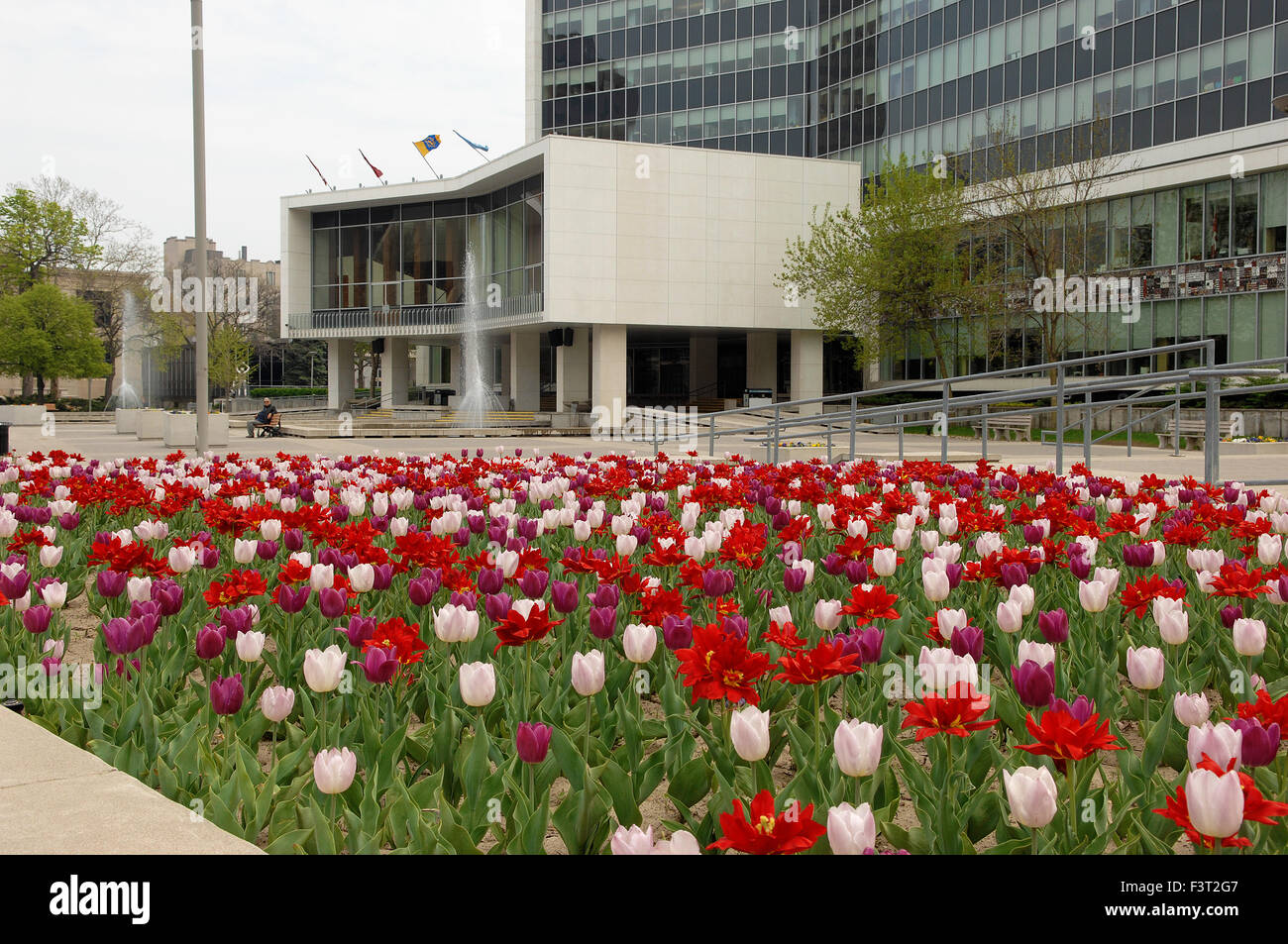 Hamilton, ontario skyline hi-res stock photography and images - Alamy