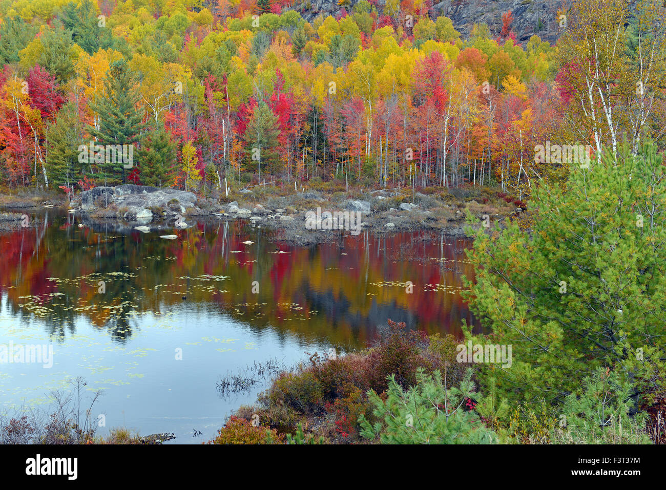 Fall colors, autumn foliage in the Adirondacks, New York Stock Photo ...