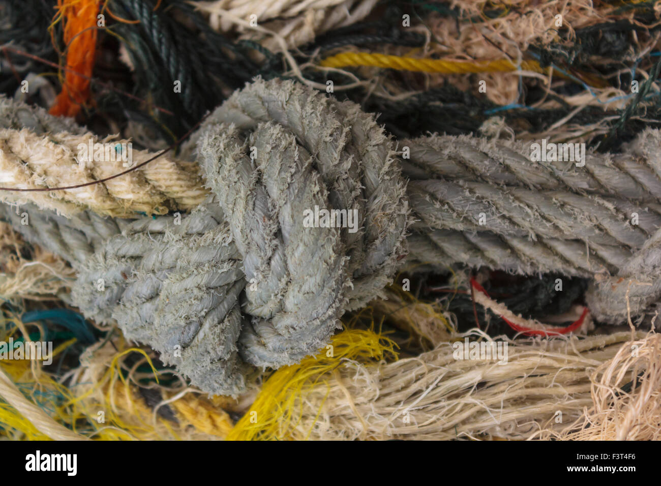 Tied and torn rope at the shore Stock Photo - Alamy