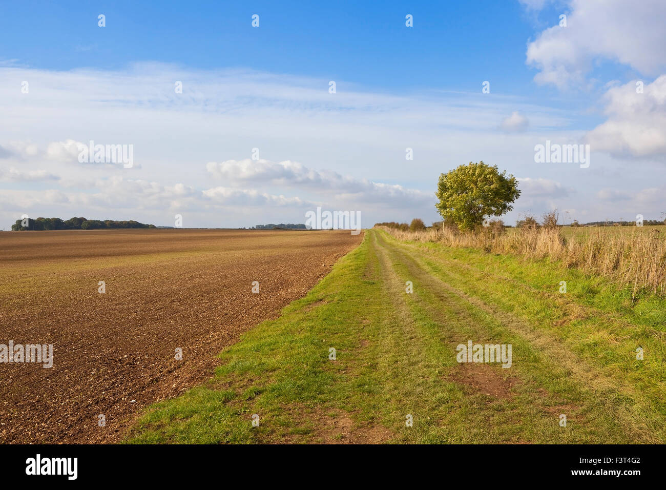 A section of the Minster way public footpath in the scenic Yorkshire ...
