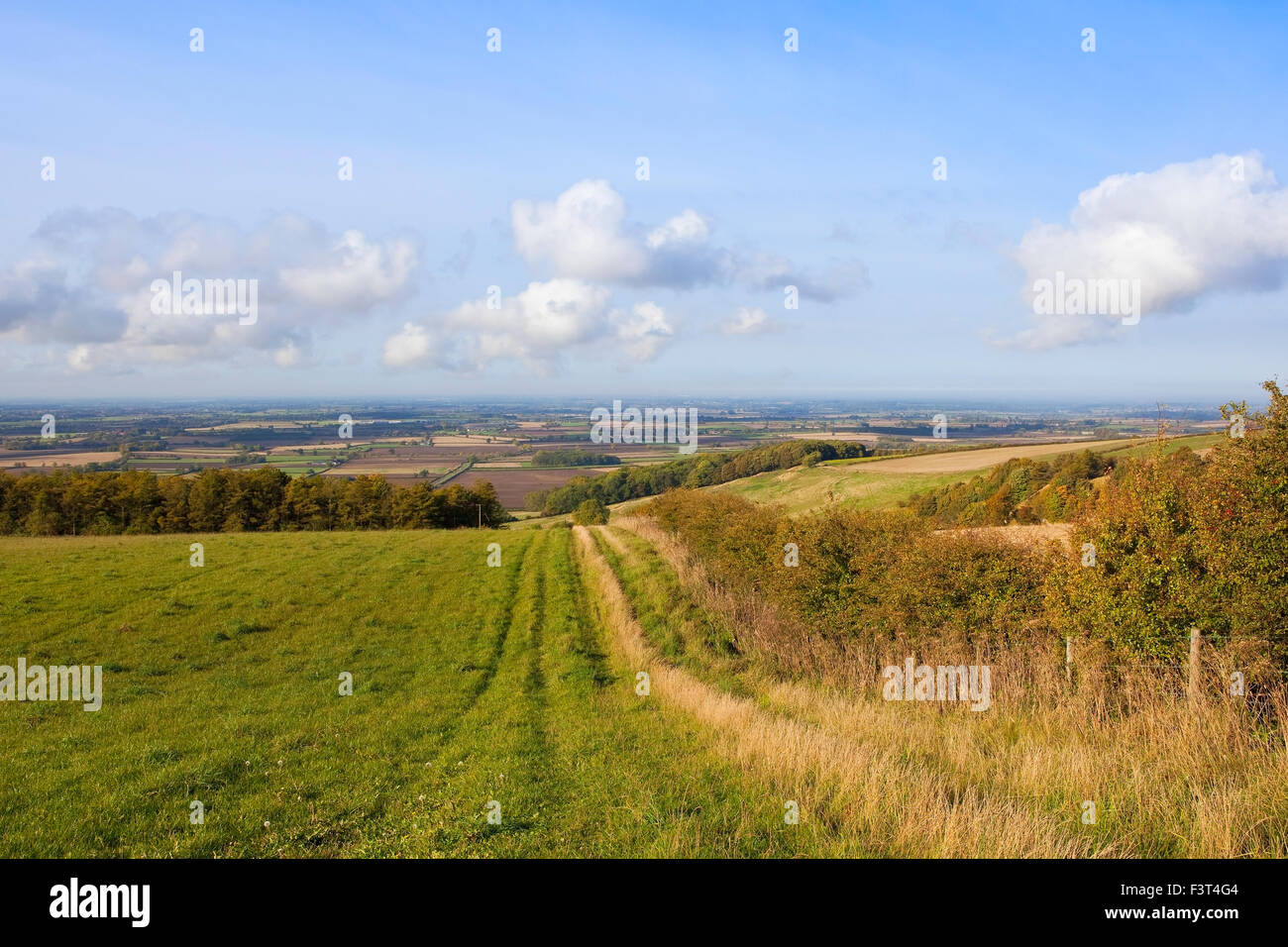 The scenic vale of York from a hilltop meadow high on the Yorkshire ...
