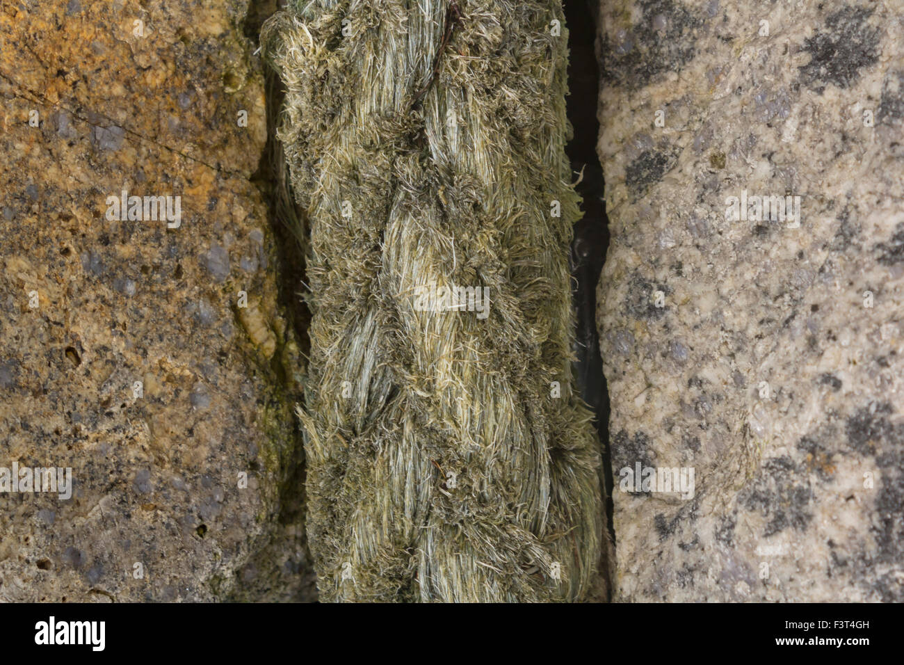 Stuck At Sea High Resolution Stock Photography and Images - Alamy