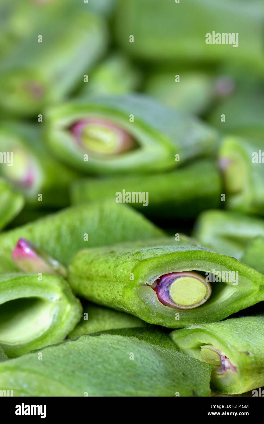 Runner beans hi-res stock photography and images - Alamy