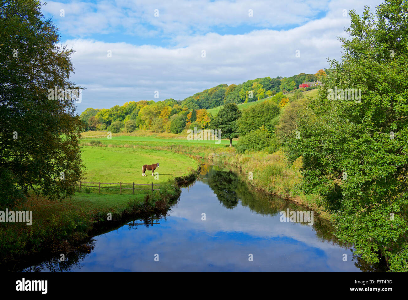 River calder hi-res stock photography and images - Alamy
