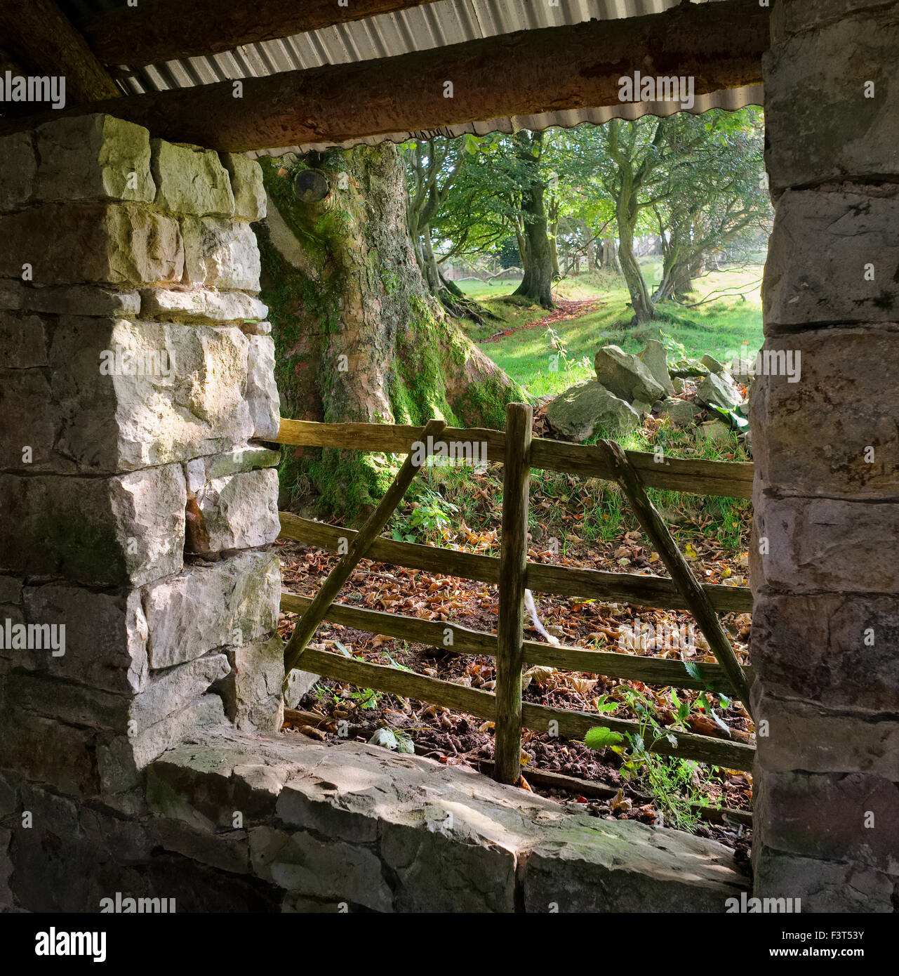 Looking through a barn window at Blakemoregate cottages on the ...