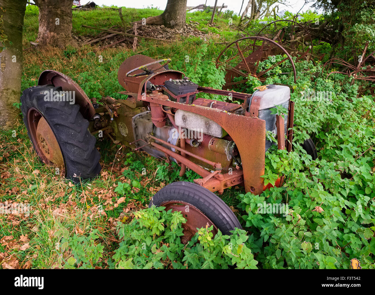 A derelict Ferguson tractor lies rusting in a field on a farm at the ...