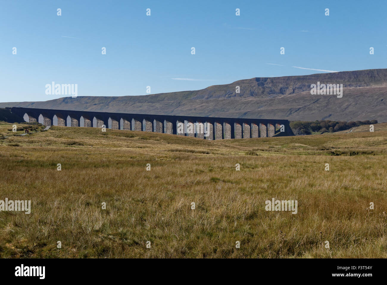 The Ribblehead Viaduct Stock Photo - Alamy