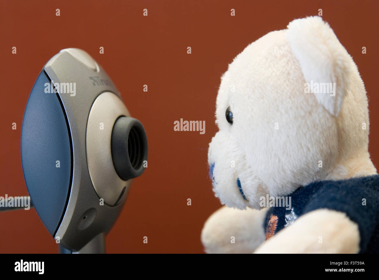 Teddy bear in front of a web cam Stock Photo - Alamy