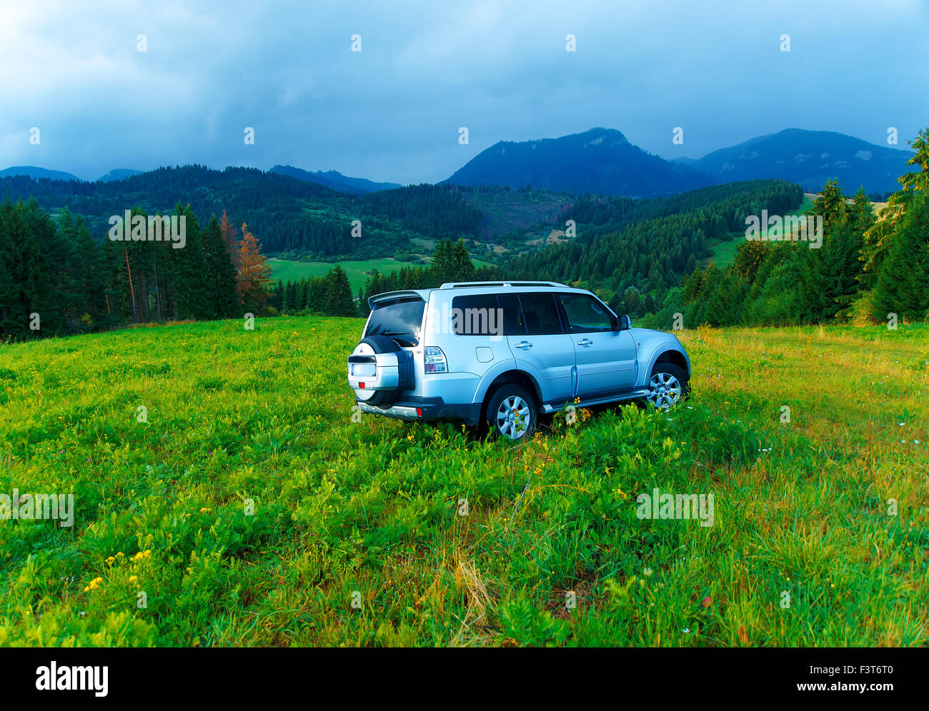 car in landscape with mountain and yellow and green meadows Stock Photo ...