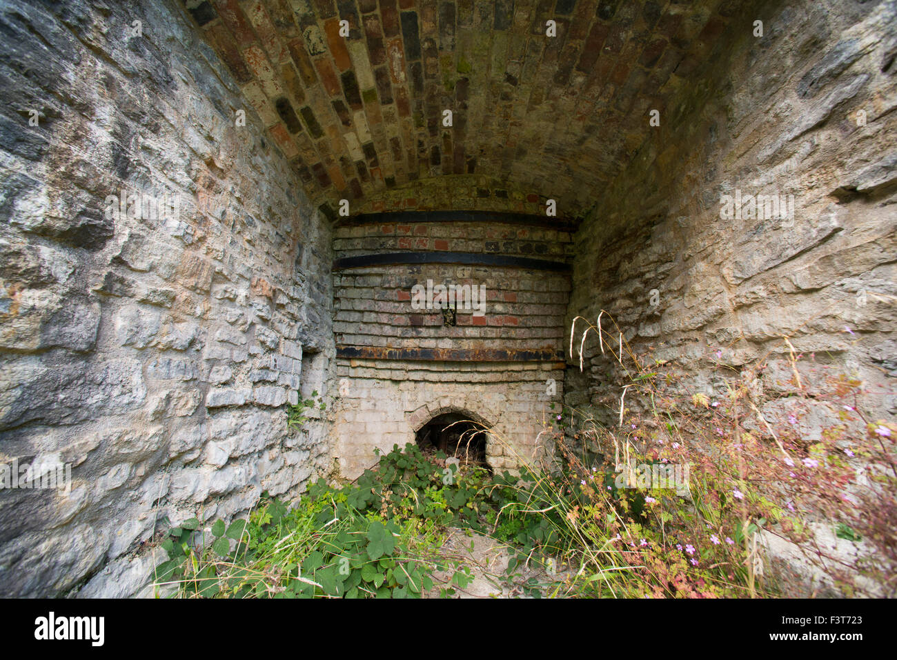 Vaulted tunnel and draw hole of a Knowle Quarry lime kiln on Wenlock ...