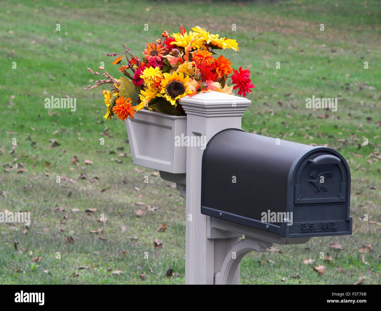 Mail flowers hi-res stock photography and images - Alamy
