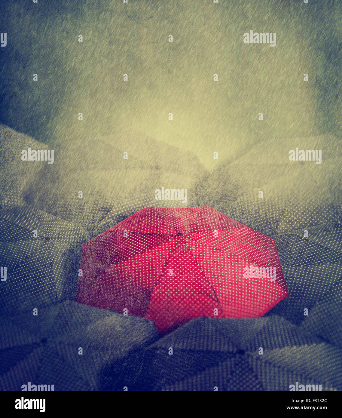 Different red umbrella hi-res stock photography and images - Alamy