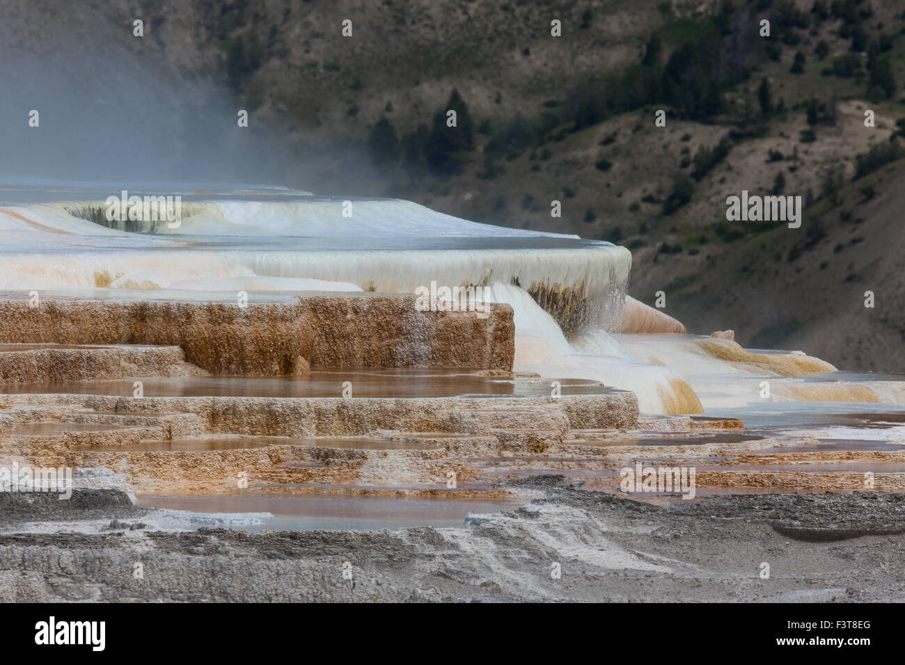 Mammoth top hi-res stock photography and images - Alamy