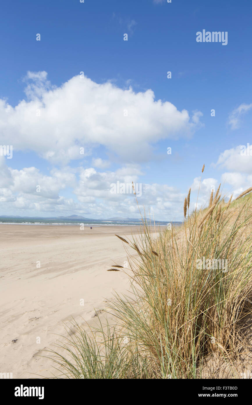Harlech Beach from the sand dunes, Harlech, Gwynedd, Wales, UK Stock ...
