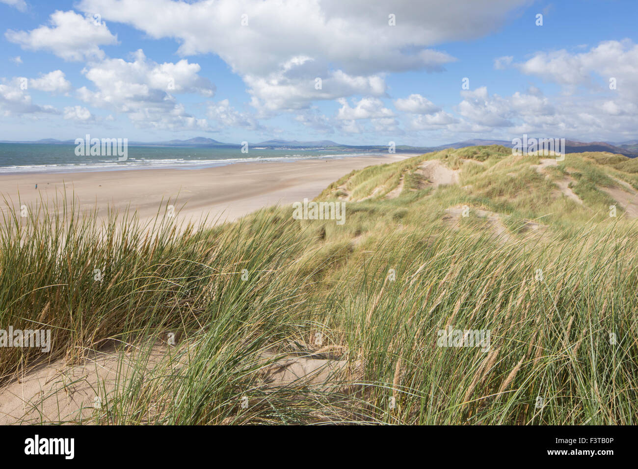 Harlech Beach from the sand dunes, Harlech, Gwynedd, Wales, UK Stock ...