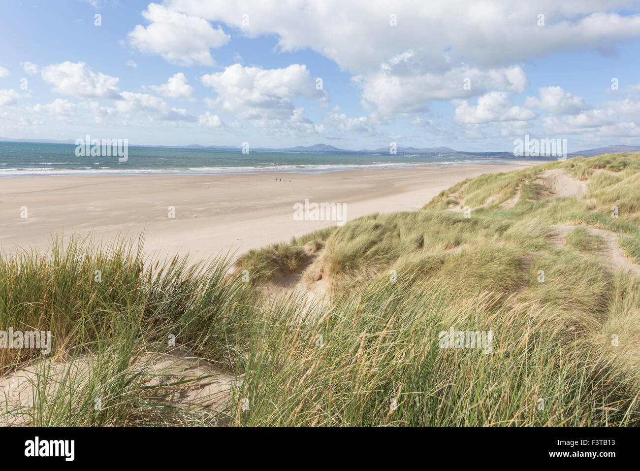 Harlech beach hi-res stock photography and images - Alamy