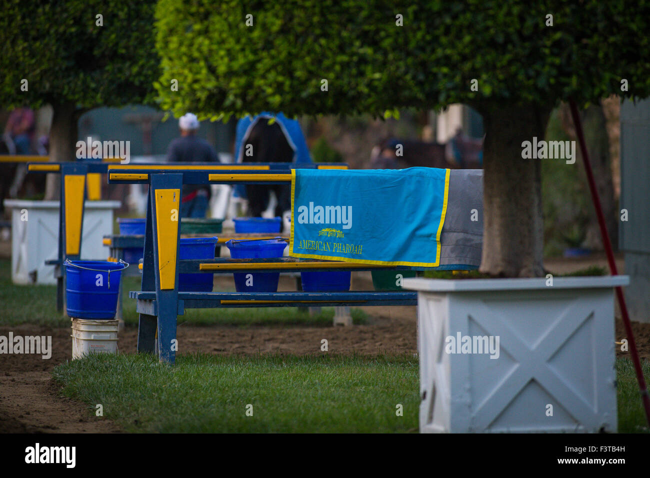 Anita crown hi-res stock photography and images - Alamy