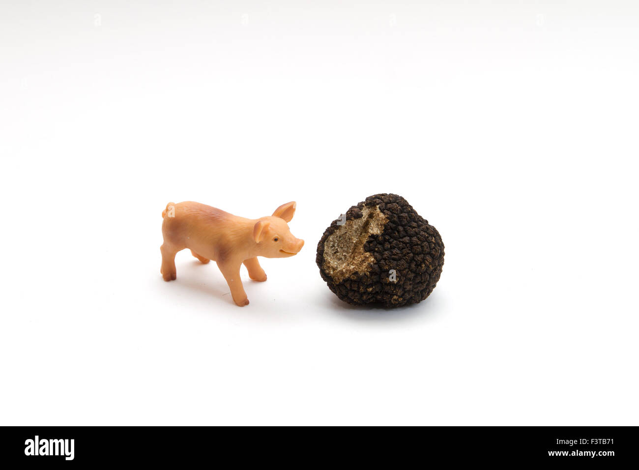 Truffle / Tuber aestivum Stock Photo - Alamy