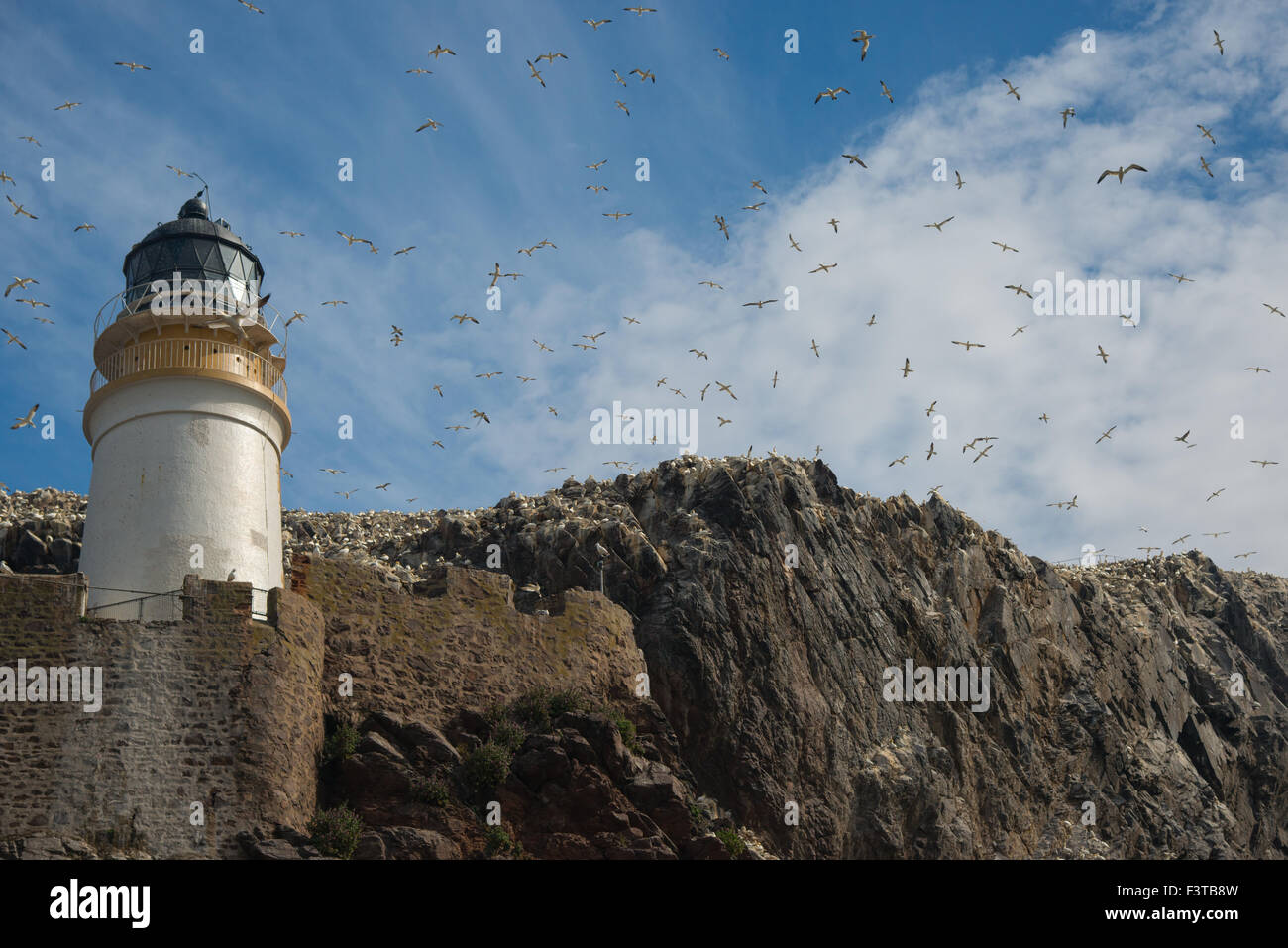 Bass Rock lighthouse Stock Photo - Alamy