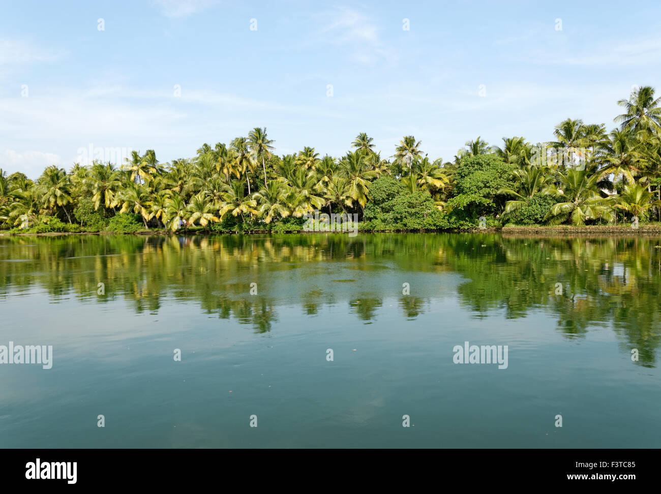 River and a tropical shoreline, Kerala India Stock Photo - Alamy