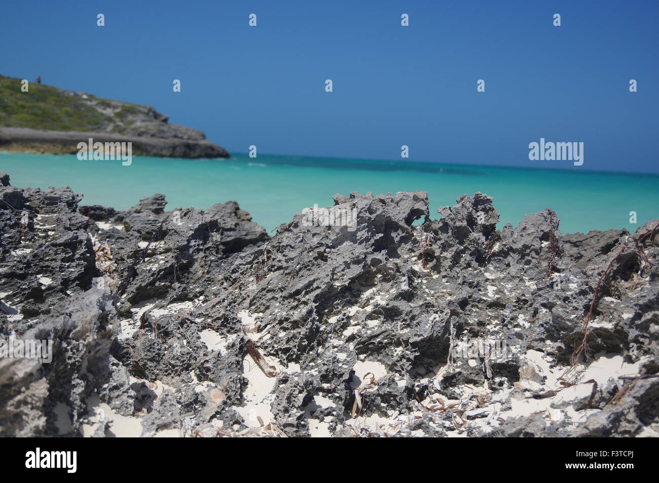 Volcanic rocks at the beach hi-res stock photography and images - Alamy
