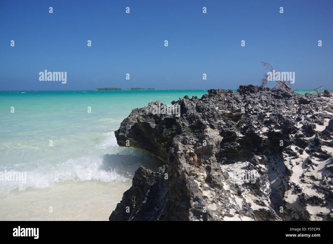 Volcanic rocks on Pilar beach, Cuba Stock Photo - Alamy