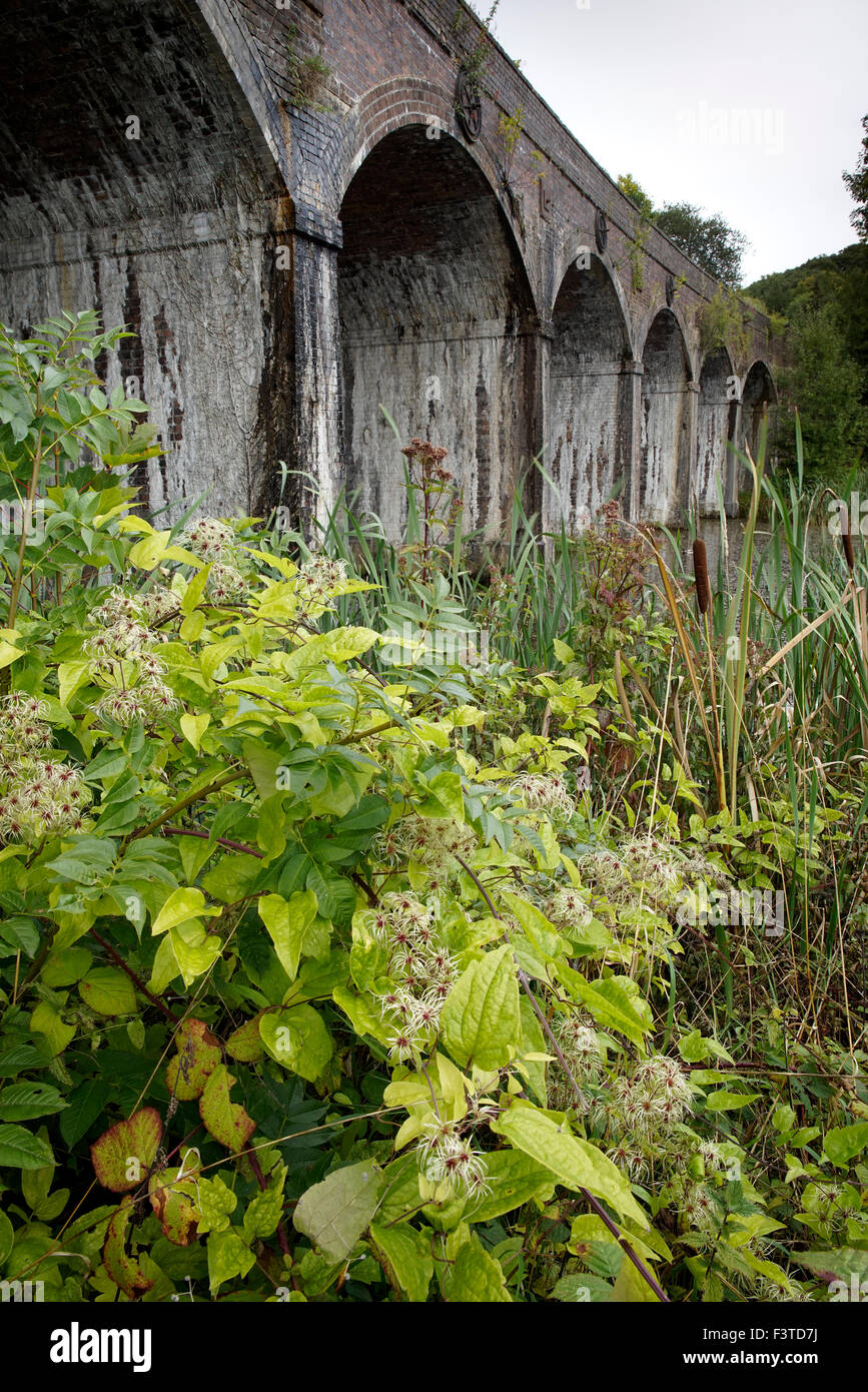 Coalbrookdale railway viaduct hi-res stock photography and images - Alamy