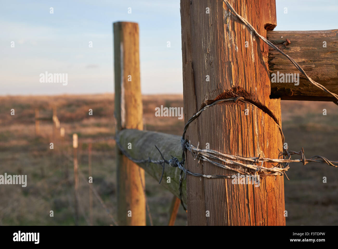 A close up of a wooden barb wire fence running through a pasture on a ...