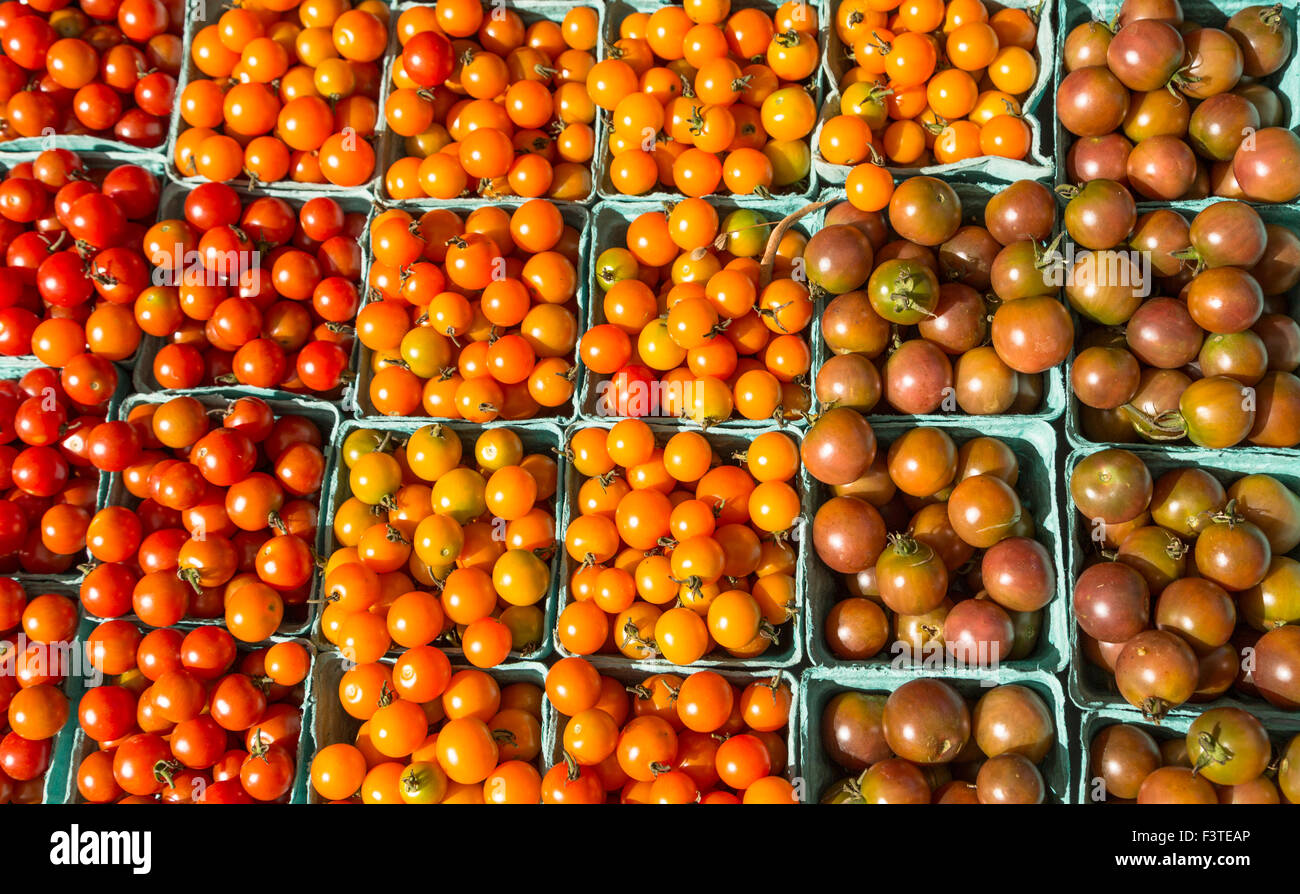 Wallpaper image of cherry tomatoes in different colors Stock Photo - Alamy