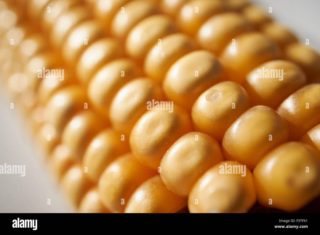 Dried corn agriculture hi-res stock photography and images - Alamy