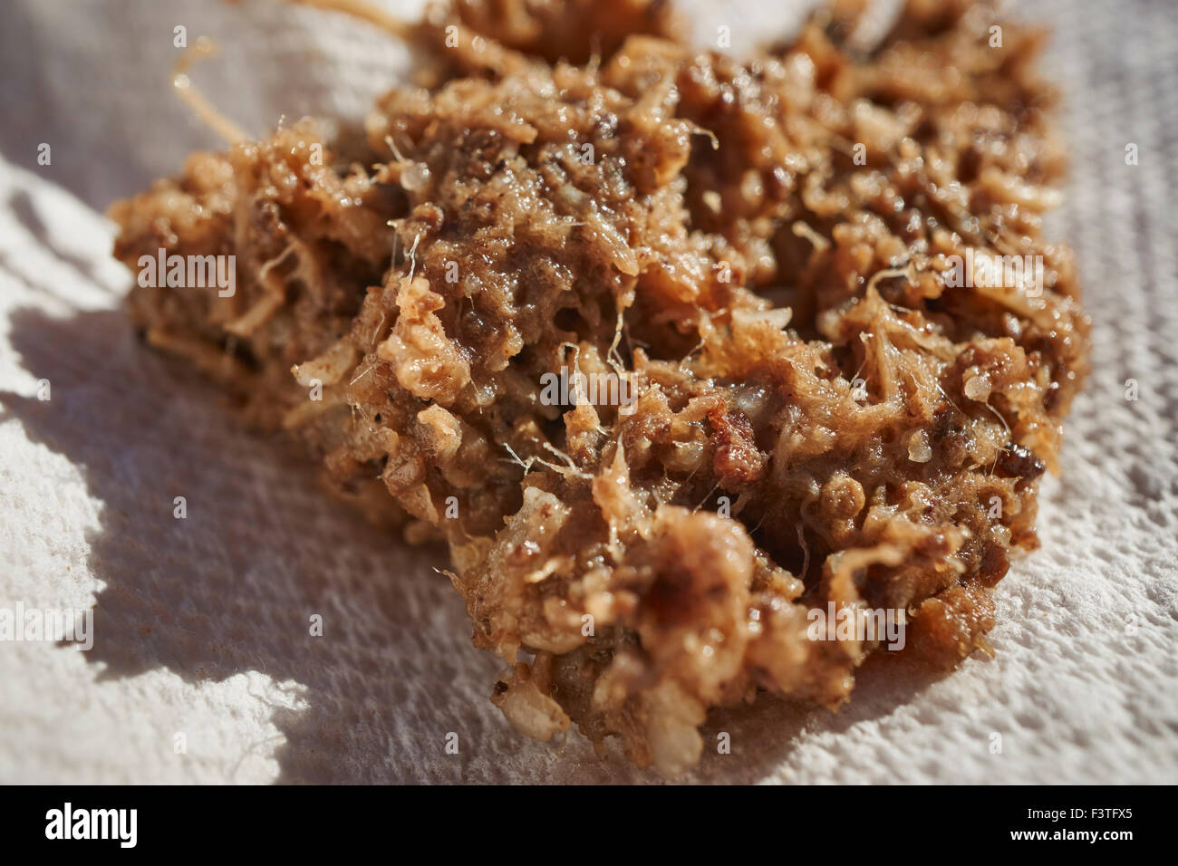 a bit of hog pudding, a traditional early American food Stock Photo - Alamy