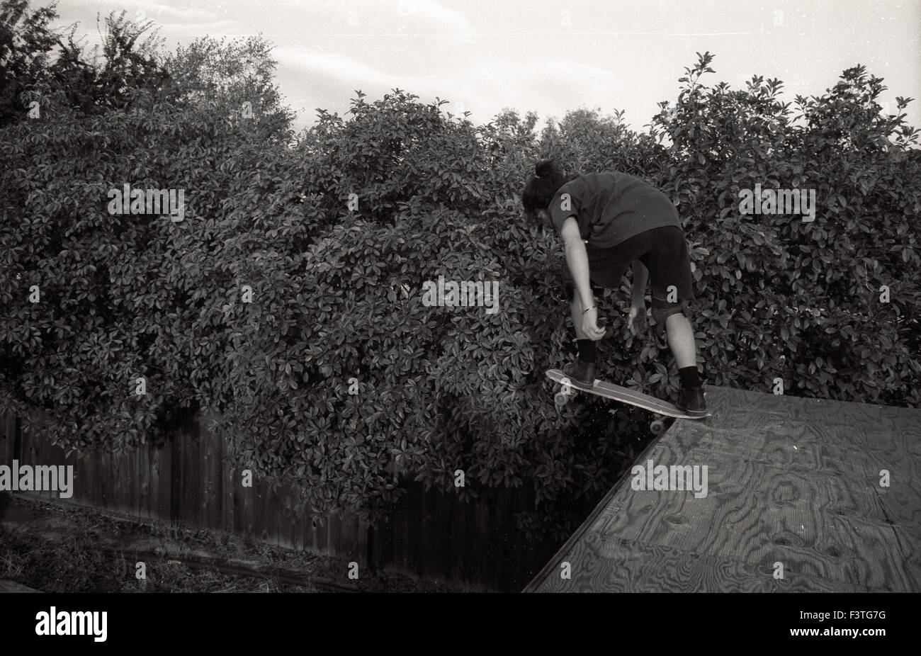 skateboarder drops in on half pipe in backyard of tract home Stock ...