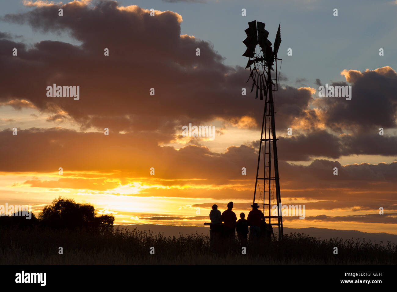 Australian bush sunset hi-res stock photography and images - Alamy