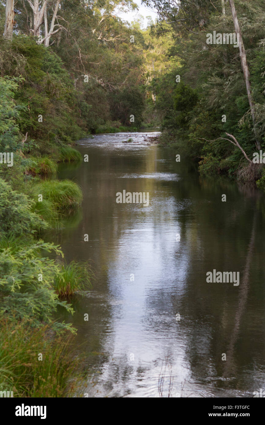 Dargo victoria hi-res stock photography and images - Alamy
