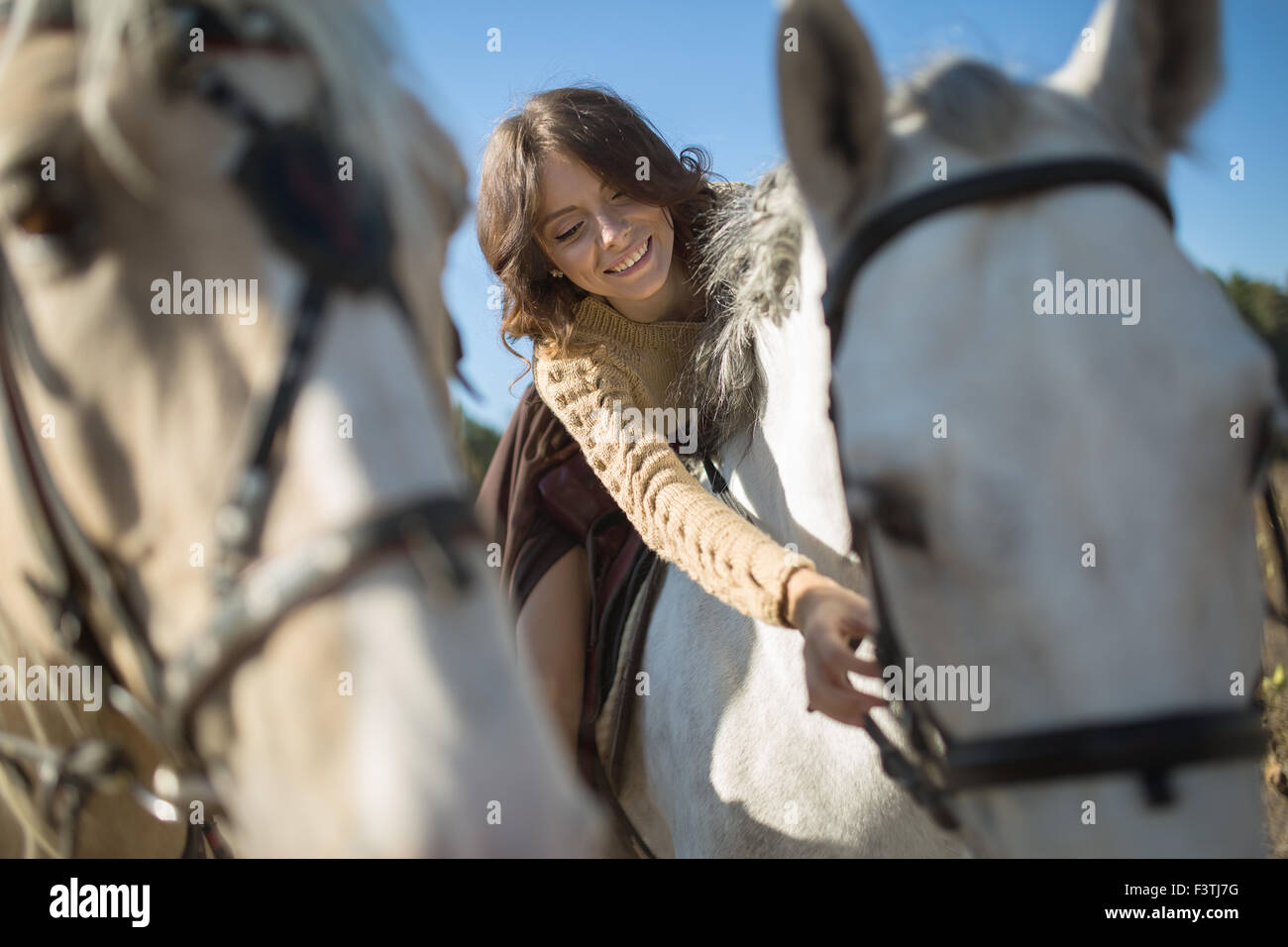 Beautiful girl riding a horse Stock Photo - Alamy