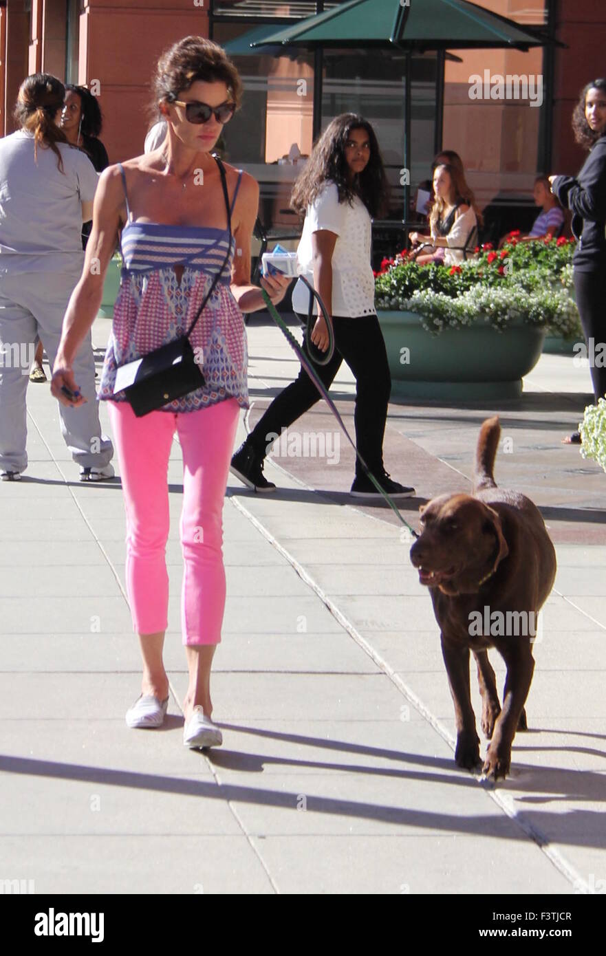 Janice Dickinson takes her dog shopping in Beverly Hills Featuring ...