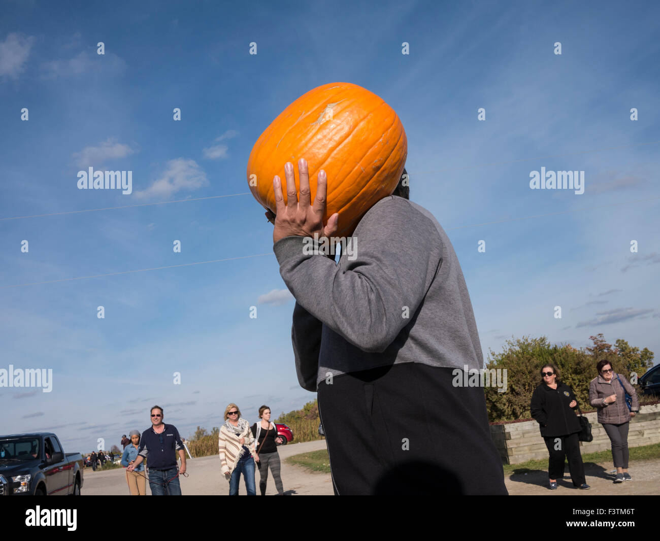 Man carrying pumpkin on his shoulder from a farmer's market to his ...