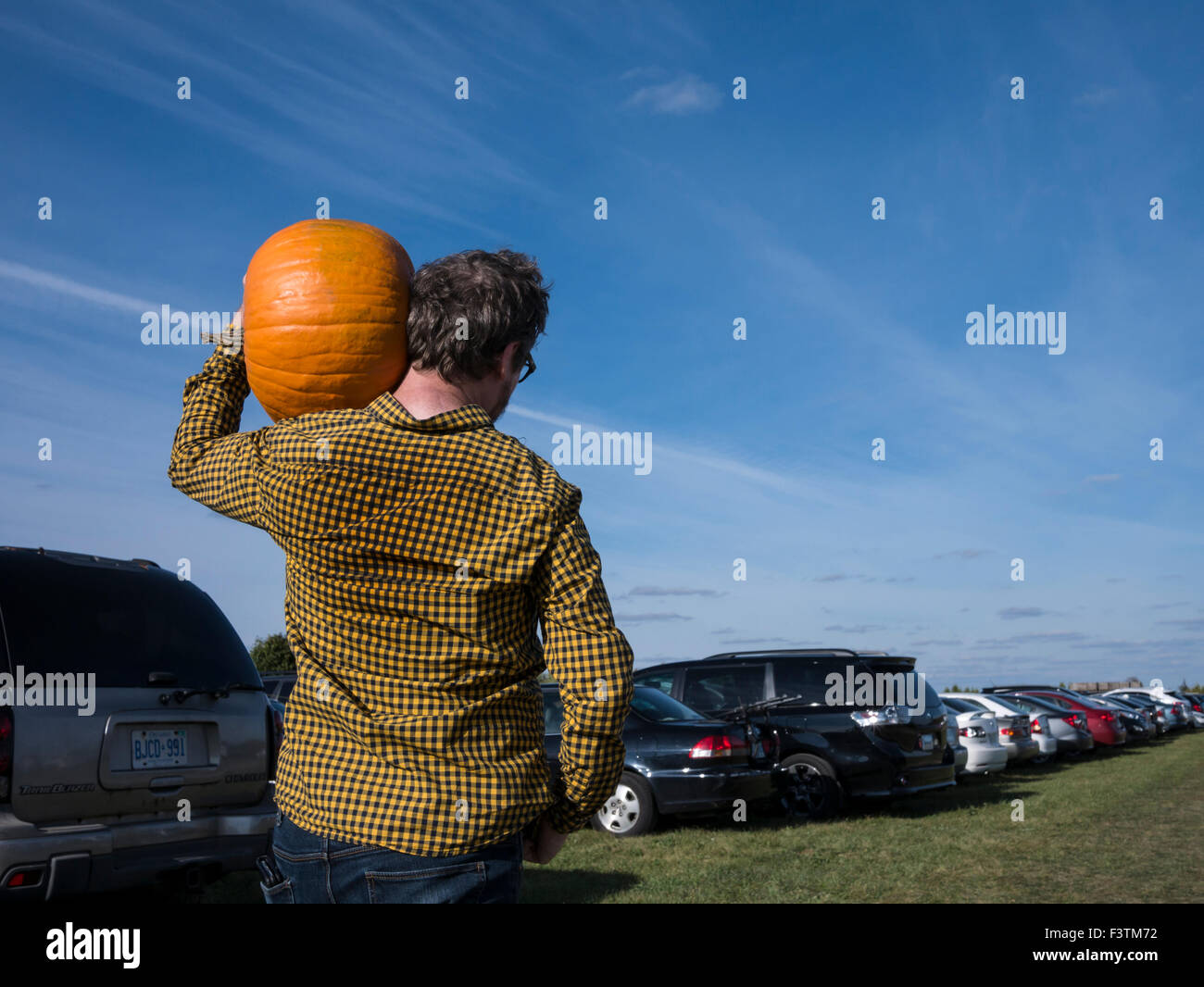 Man carrying pumpkin on his shoulder from a farmer's market to his ...