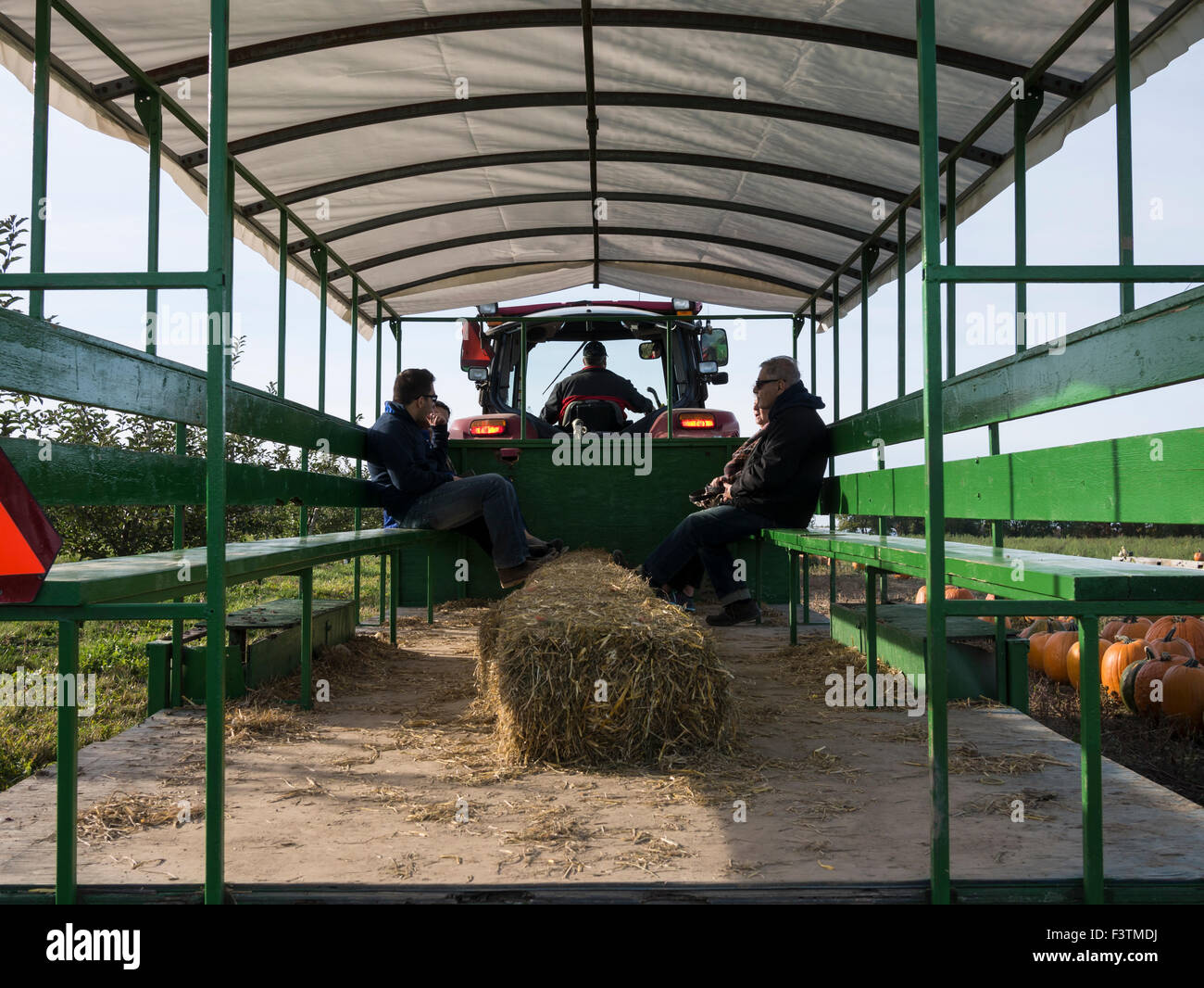 Tourists in a tractor driving in a tractor trailer Stock Photo - Alamy
