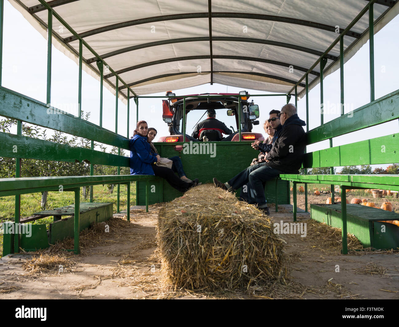 Tourists in a tractor driving in a tractor trailer Stock Photo - Alamy