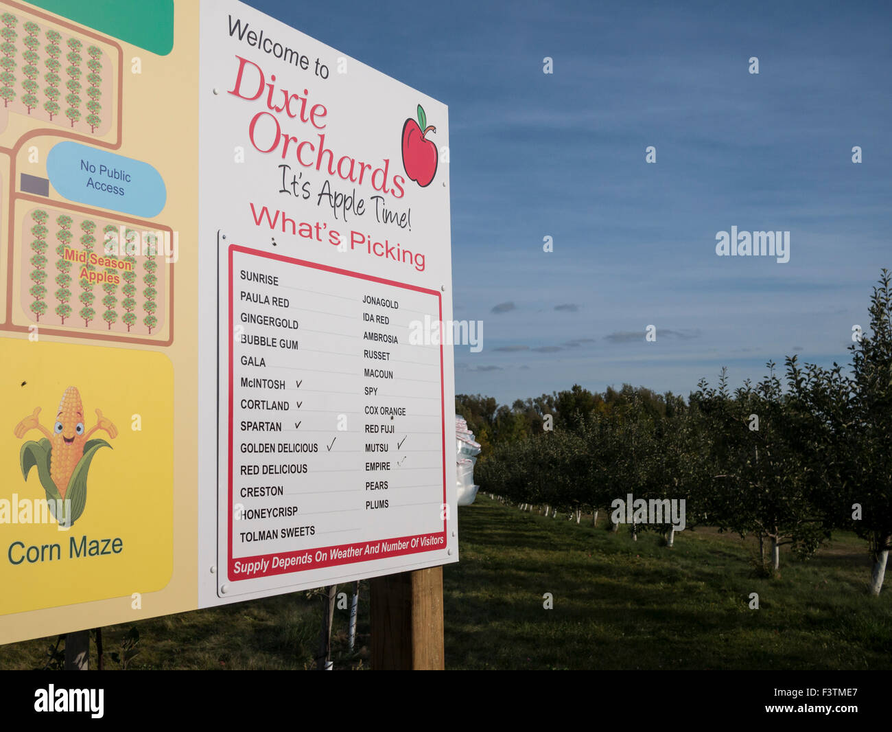Apple varieties sign in an apple orchard Stock Photo - Alamy