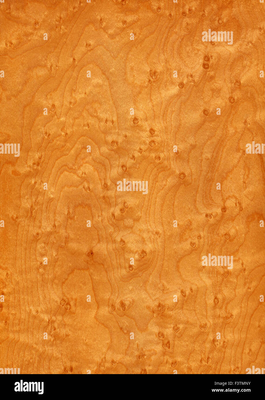 background of birds eye wood grain veneer Stock Photo - Alamy