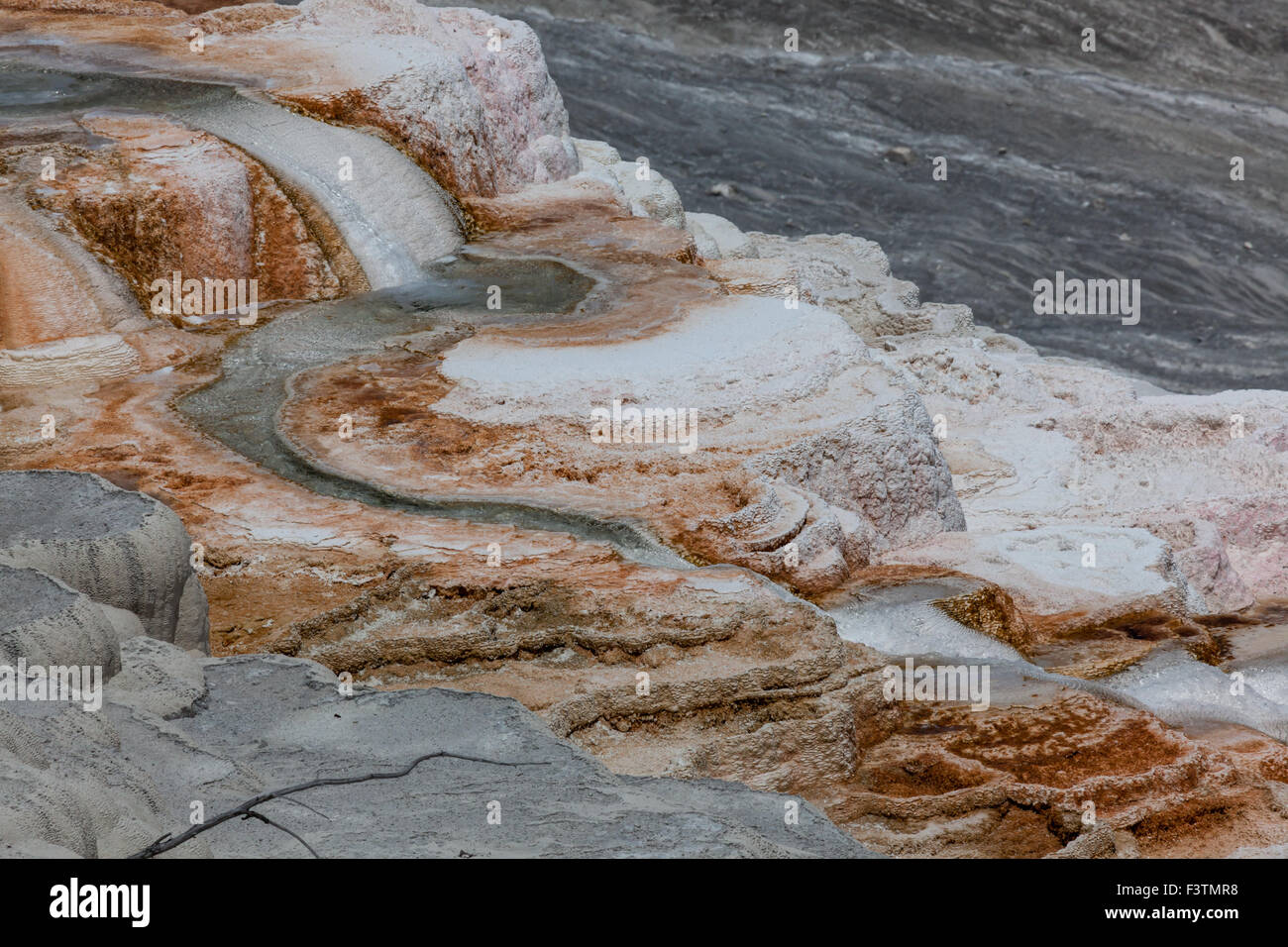 Clear hot water flowing over colorful bacteria formations at ...