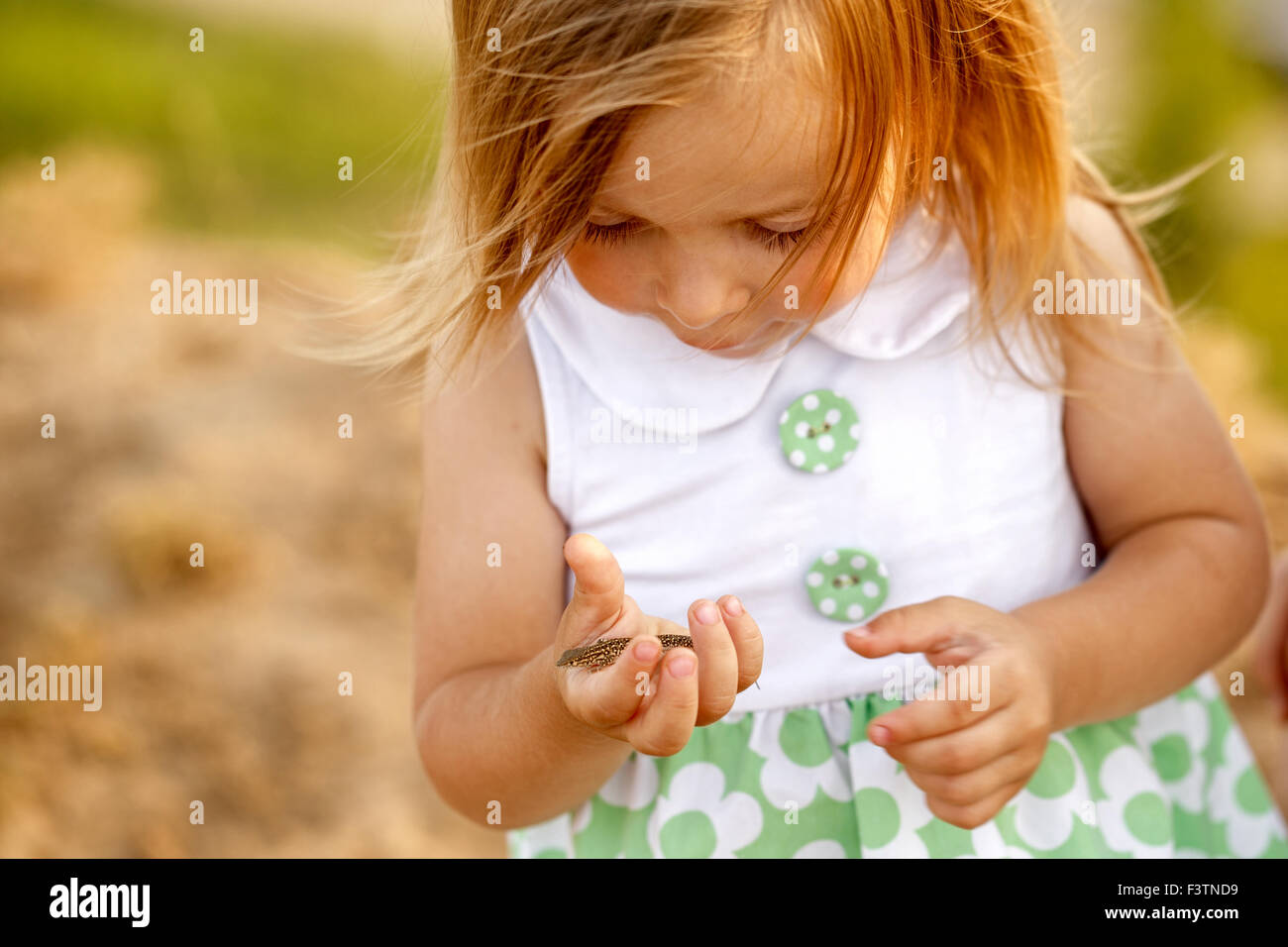 Little girl holding a green lizard on his arm. I am learning concept of ...